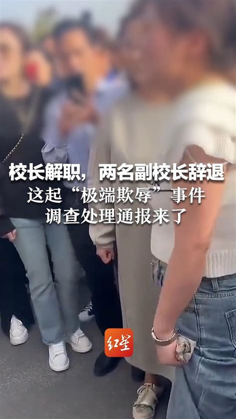 校长解职，两名副校长辞退！大成双语学校“极端欺辱”事件，调查处理通报来了凤凰网视频凤凰网