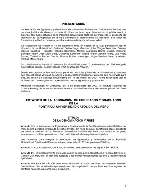 Modelo De Estatuto Pdf Elecciones Perú