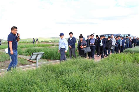 全国草原保护修复现场会召开 蒙草生态分享草业科技创新应用实践 经济 内蒙古新闻网