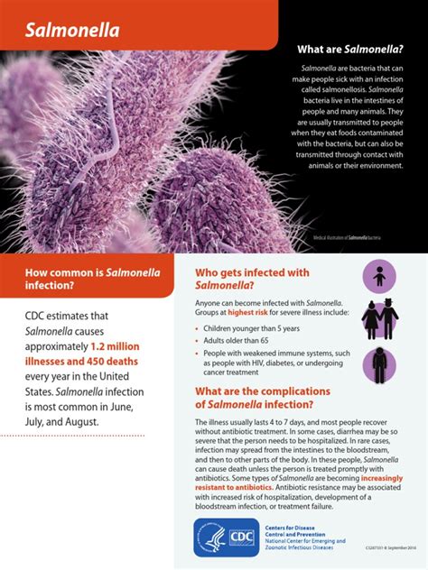 Cdc Salmonella Factsheet Pdf Salmonella Infection