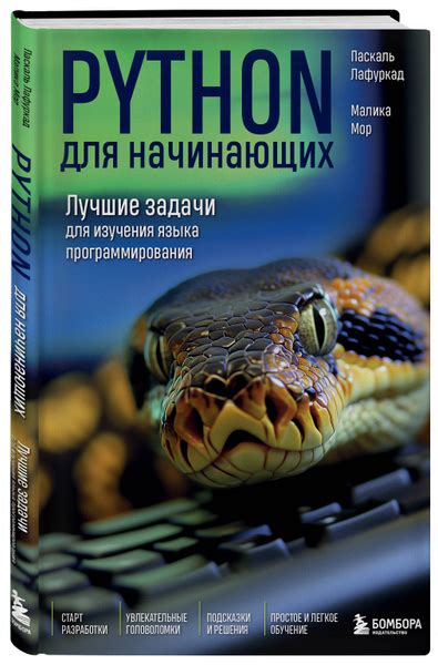 Вопросы и ответы о Python для начинающих Лучшие задачи для изучения