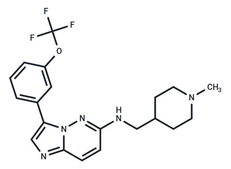 SGI Apoptosis Autophagy FLT Pim TargetMol