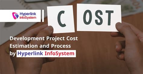 Development Project Cost Estimation And Process Hyperlink Infosystem