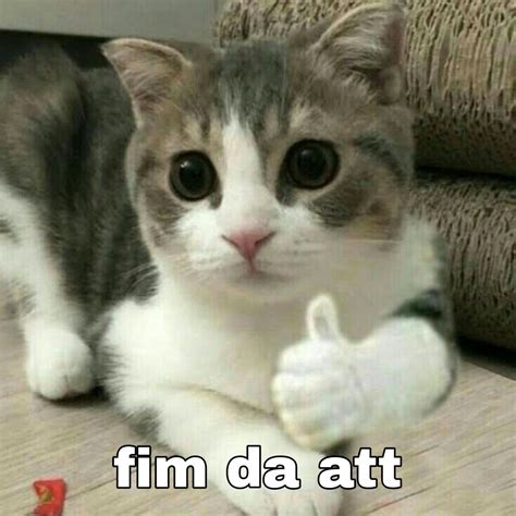 jô aus wenclair on Twitter RT juliazenobi lá vem a loirinha