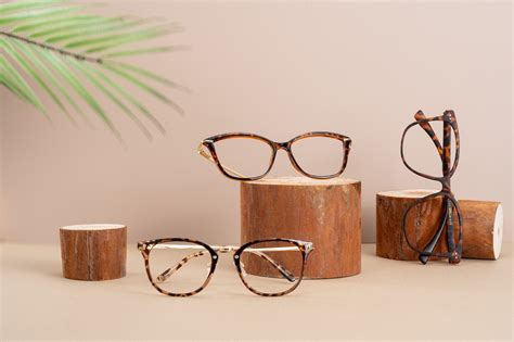 Glasses Tortoise Turtle Free Photo On Pixabay Pixabay