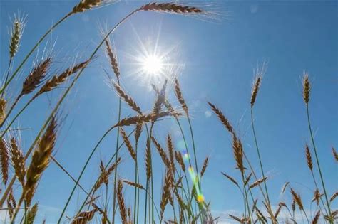 端午連假熱爆！2地區「狂飆36度」 5縣市發布高溫特報 中天新聞網