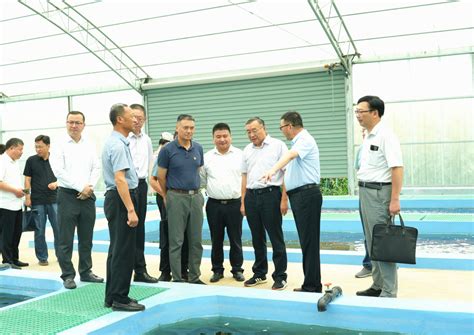 江苏省农业农村厅来马集镇开展支部共建及“解剖式”调研活动 农机新闻网