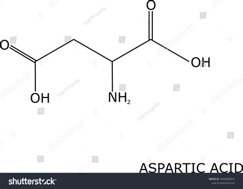 Aspartic Acid Molecular Structure Isolated On Stock Vector (Royalty ...