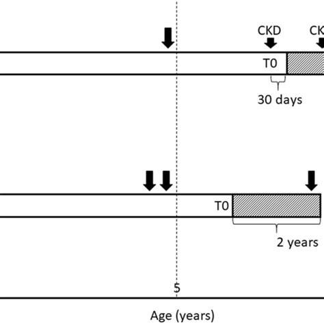 Schematic Representation Of Ckd Status Assignment Ehr Data Use And Download Scientific
