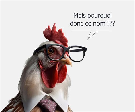 Les coulisses de la création gallinac