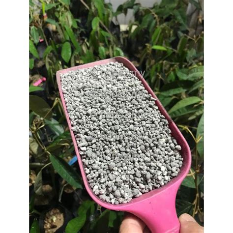 Tsp Triple Super Phosphate Granulate Fertilizer 250g P2o5 Baja Akar