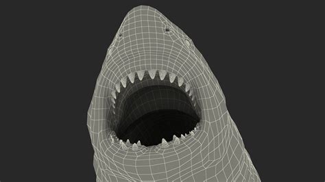 Megalodon Attacking Pose 3d Model 139 3ds Blend C4d Fbx Max Ma