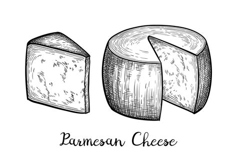 Parmesan Cheese Wheel And Block Ink Sketch Isolated On White