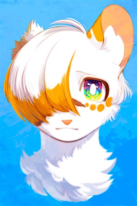 猫ゴコロ🇯🇵 On Twitter キャットアート ウォーリアーズ 生き物 イラスト