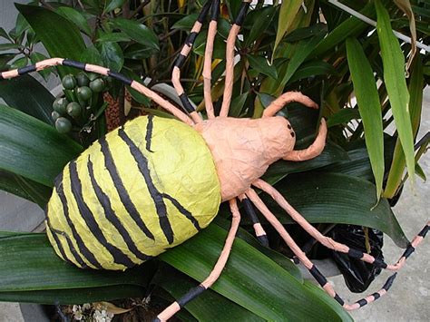 대형거미 구경하세요~ㅎ