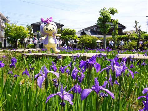 八橋かきつばた園 観光スポット 愛知県知立市公式観光サイト知立観光ナビ