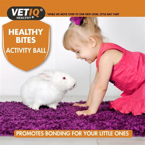 Healthy Bites Activity Ball For Small Animals Vetiq Healthy