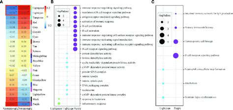 core modules and their enriched functions a heatmap of download