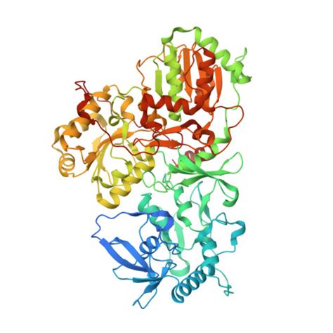 RCSB PDB 8BQ6 Cryo EM Structure Of The Arabidopsis Thaliana I III2 Supercomplex Complete