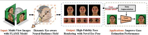 Figure 1 From High Fidelity Eye Animatable Neural Radiance Fields For