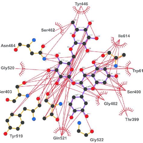 2d Interaction Diagram Of The Hydrophobic Interaction Between Pbp2a And