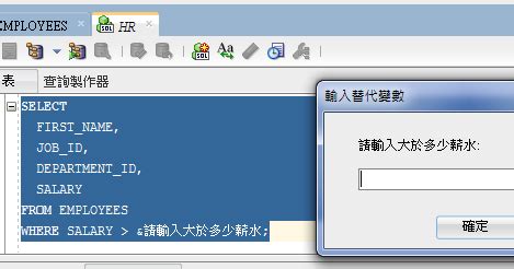 Java程式教學甘仔店 Oracle DB Oracle sqldeveloper工具輸入框 用法教學
