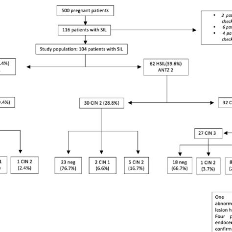 Normal Colposcopic Finding Entire New Scj Is Visible The Tz Is Fully