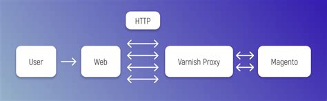 Varnish In Magento 2 Basic Settings Practical Use