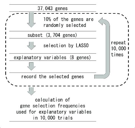 Method To Assess Gene Selection Frequencies For The Explanatory