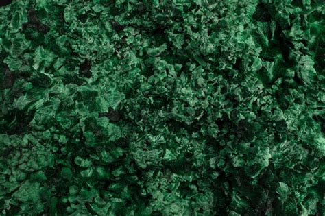 Malachite Raw Item Ma 032 Fine Mineral And Crystal Mystical