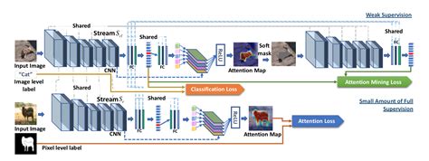Paper Tell Me Where To Look Guided Attention Inference Network Cam