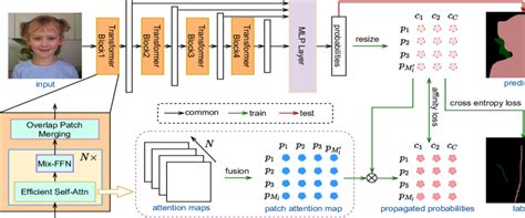 An Overview Of The Proposed Sparsely Annotated Segmentation