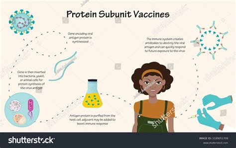 Protein Subunit Vaccines Infographic Vector Illustration Stock Vector Royalty Free 2189051709