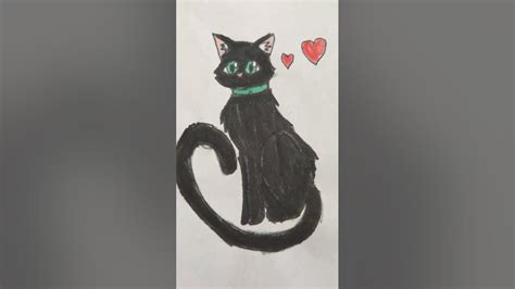 T For Owlkitty 🐈‍⬛ Youtube