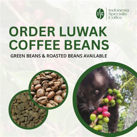 Understanding Hs Codes For Coffee Beans Indonesia Specialty Coffee