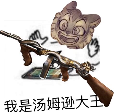 来点混世闲喵叼图owo 大部分都是洛奇rocky的 哔哩哔哩