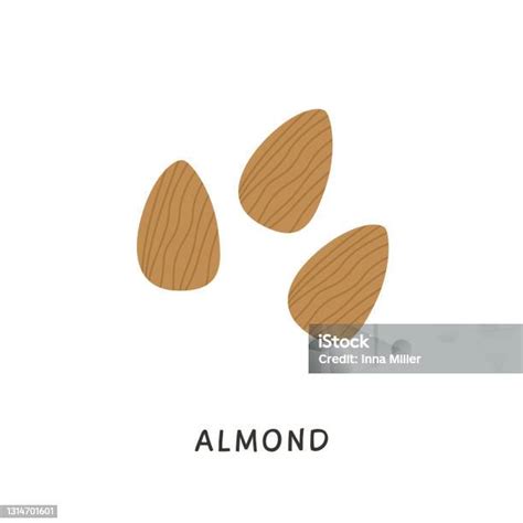 껍질이없는 전체 아몬드 견과류 간단한 색상의 과일 아이콘 미니멀 한 플랫 스타일로 그려진 맛있는 식용 너트 손 자연 벡터 일러스트레이션 0명에 대한 스톡 벡터 아트 및 기타