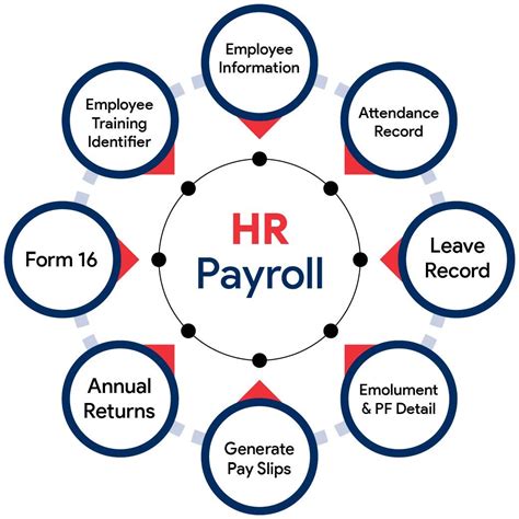 Are You Looking For Hr Payroll Management Software Services In India