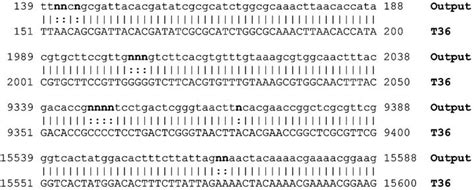 Alignments Of Selected Regions Between Output From The Resequencing Download Scientific Diagram