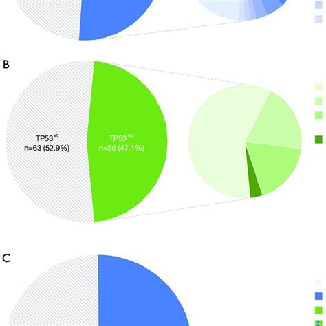 Distribution Of Kras Mutations A Tp53 Mutations B And Mutational