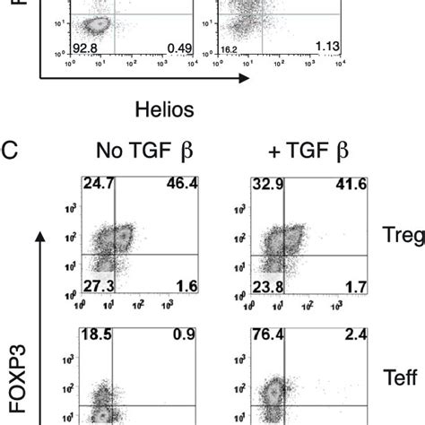 Helios Is Expressed In A Subset Of Cd4 Foxp3 Cells A Mouse Ln