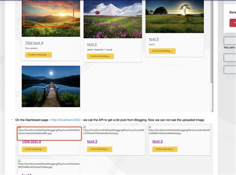 The Blogging Image Cannot Be Loaded On The App Page But The Admin Can Support ABP IO