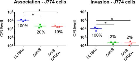 Infection Assays With Sl1344 And Its Acrb Mutants In J774 Murine