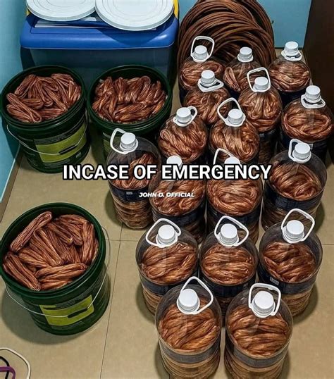 Chesca Santos Florido