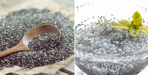 تفاوت دانه چیا با تخم شربتی و بذر ریحان ارزش غذایی دانه چیا سلامت نیوز