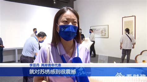 两岸青年携手同行 文化交流活动精彩纷呈 名城苏州新闻中心
