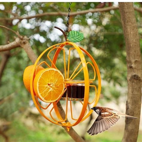 Oriole Bird Feeder For Outdoors Jelly And Oranges Orange Fruit Oriole