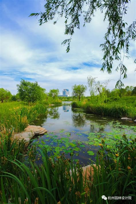 山东安丘汶河湿地公园景观生态修复与提升设计 杭州园林设计院 景观网