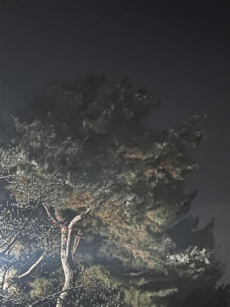 주식 투자를 지속 하면 할수록 물욕이 줄어든다 주식 에펨코리아