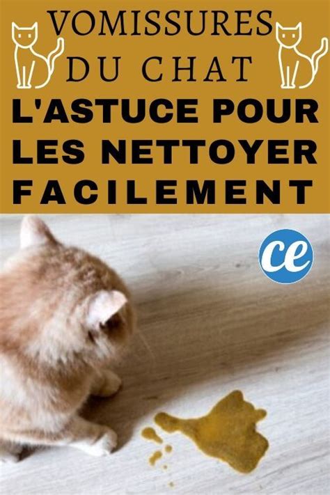 Comment Nettoyer Du Vomi Sur Presque Tout SANS Laisser De Traces En